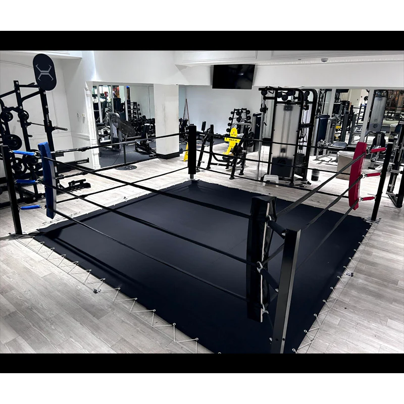 Floor Boxing Ring by Monster Rings and Cages | 16' to 24' Available